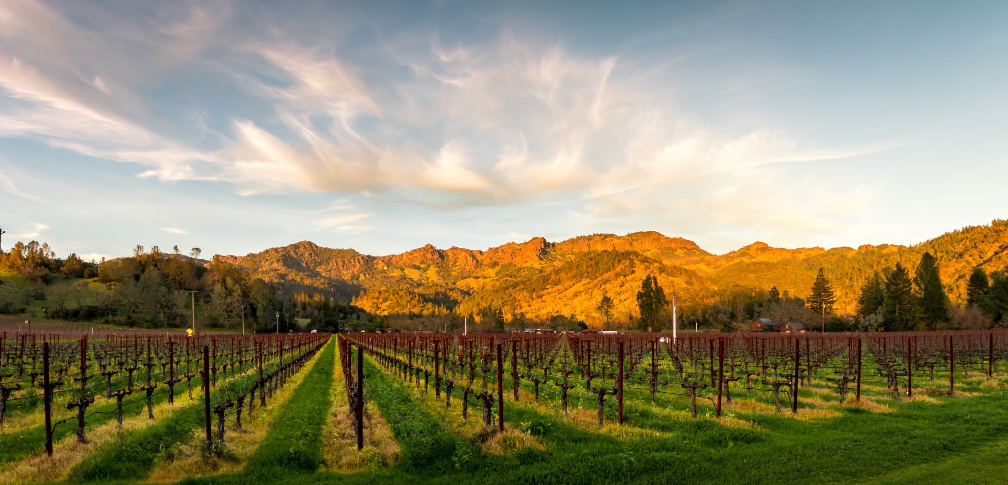 Home – Napa County Times