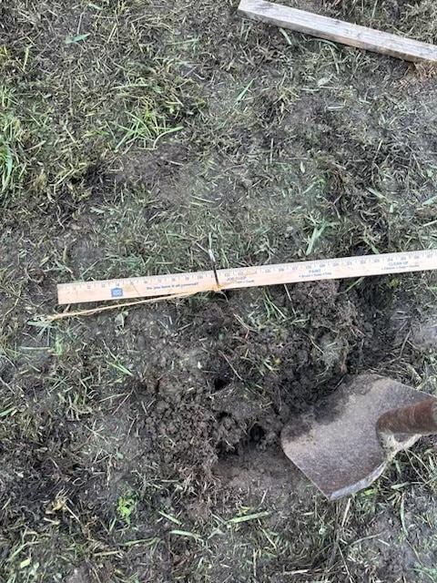 Now is the prime time to plant fruit trees in Napa County – Napa County ...